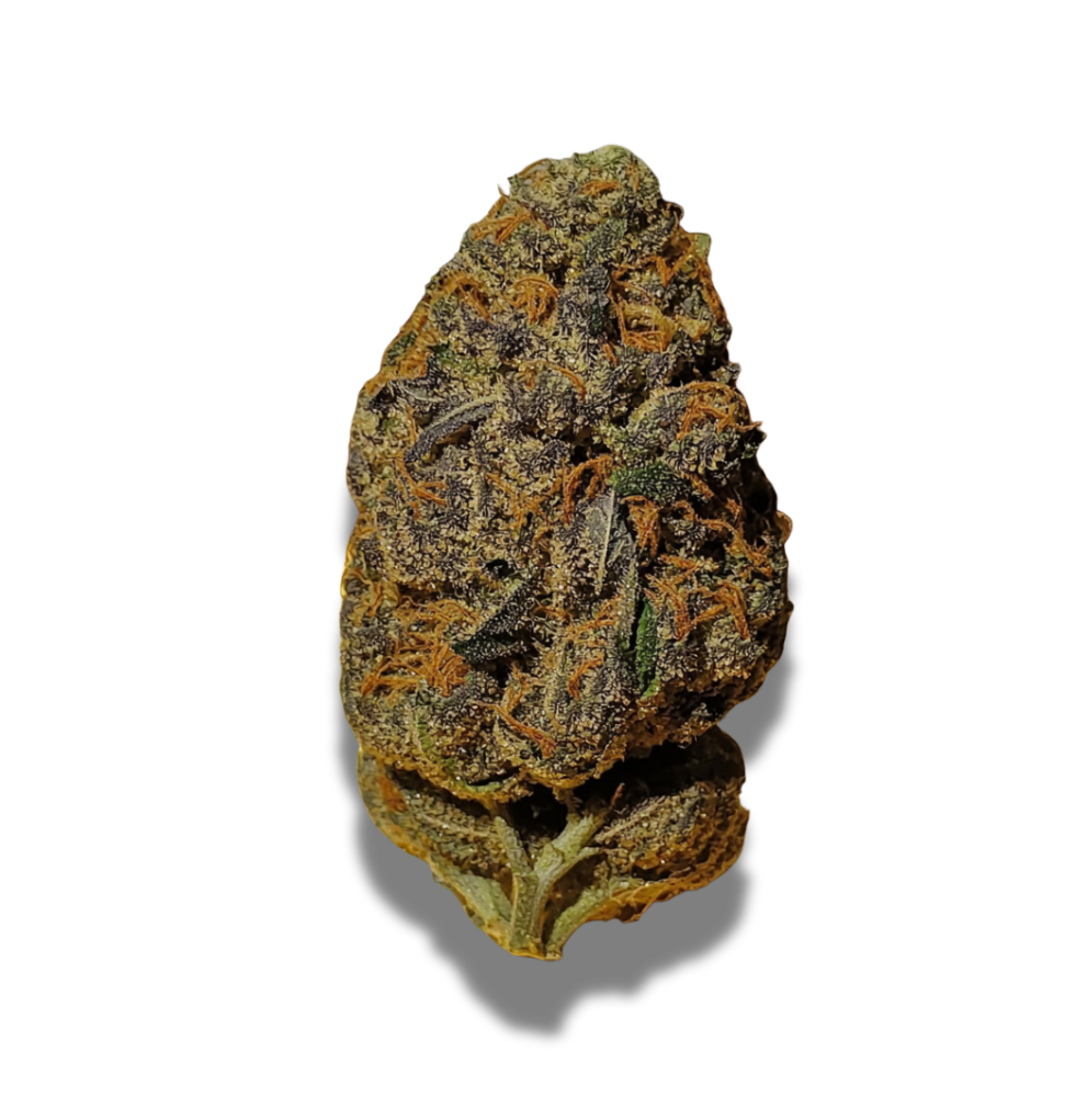 Pedanios 27/1 PND-CA: Pink Diesel
