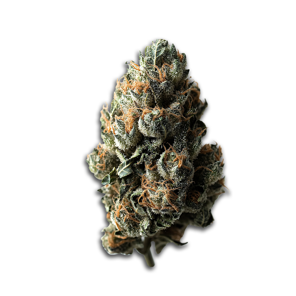 Huala 22/1 CA ALM: Alien Mints