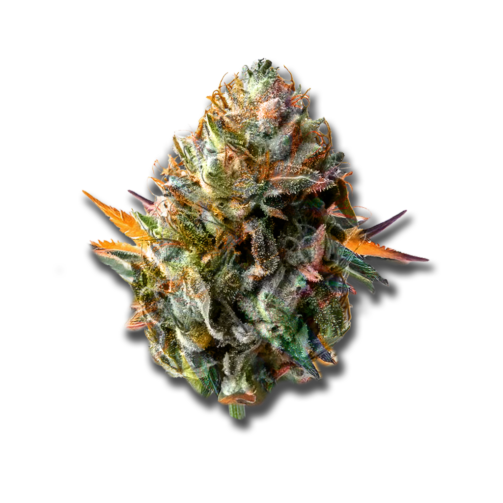 Pedanios 27/1 FRG-CA: Farm Gas