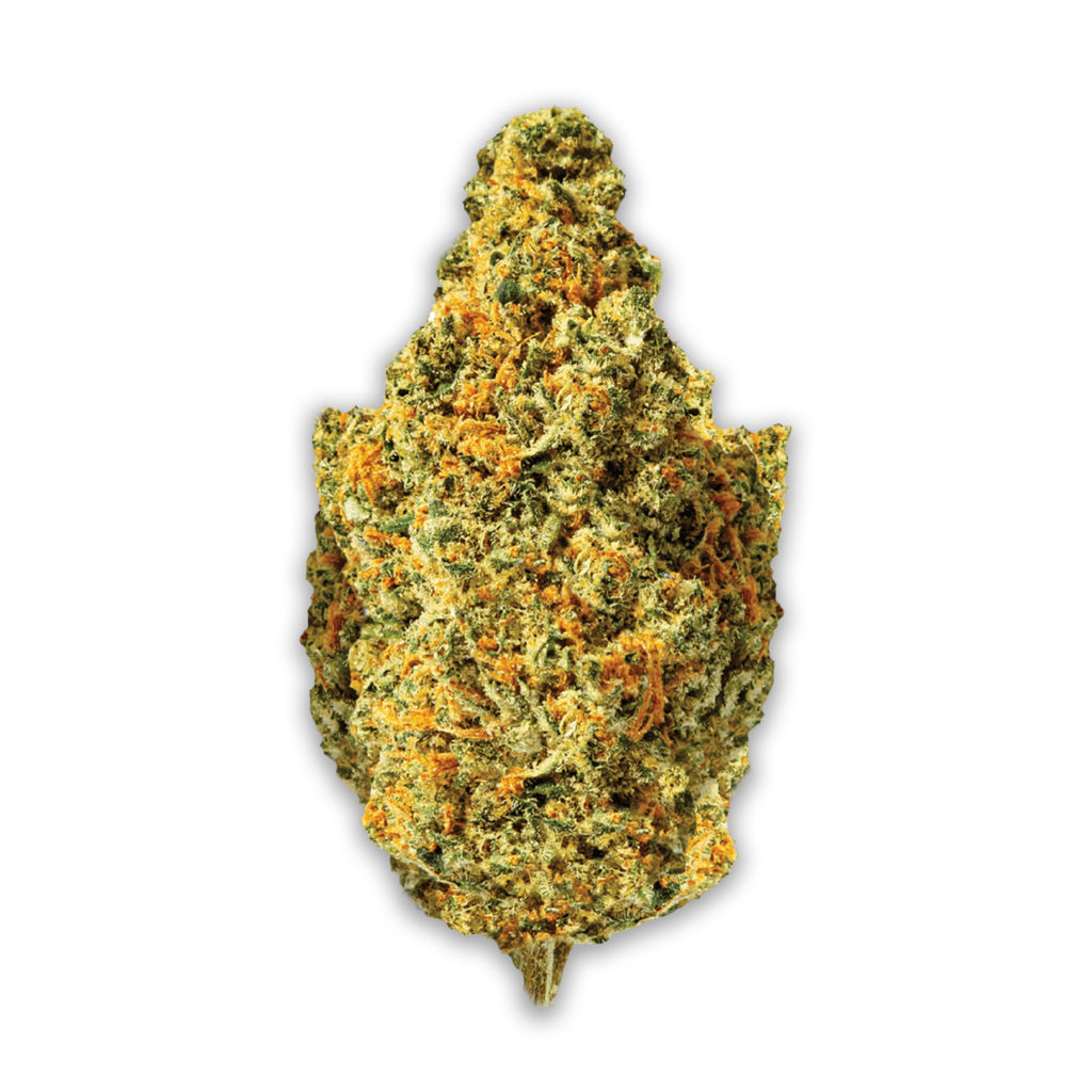 Zoiks 22/1 TG: Tangerini